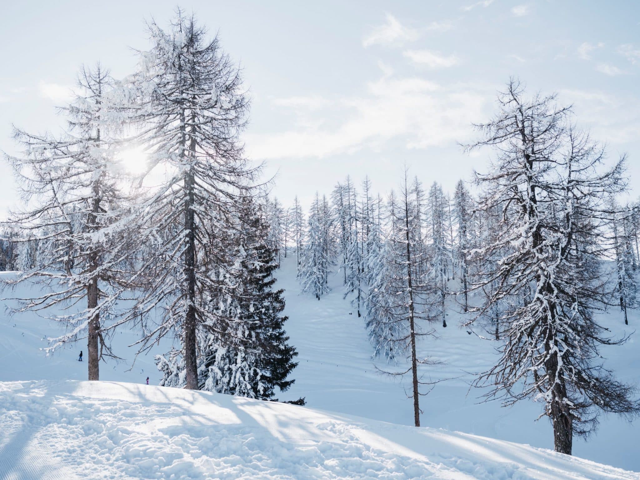 Jetzt Winter entdecken